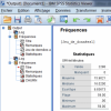 How do I change the language in SPSS? - Smart Vision Europe