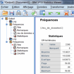 How do I change the language in SPSS? - Smart Vision Europe