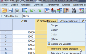 How do I change the language in SPSS? - Smart Vision Europe